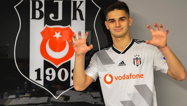 Ajdin Hasic formaya talip